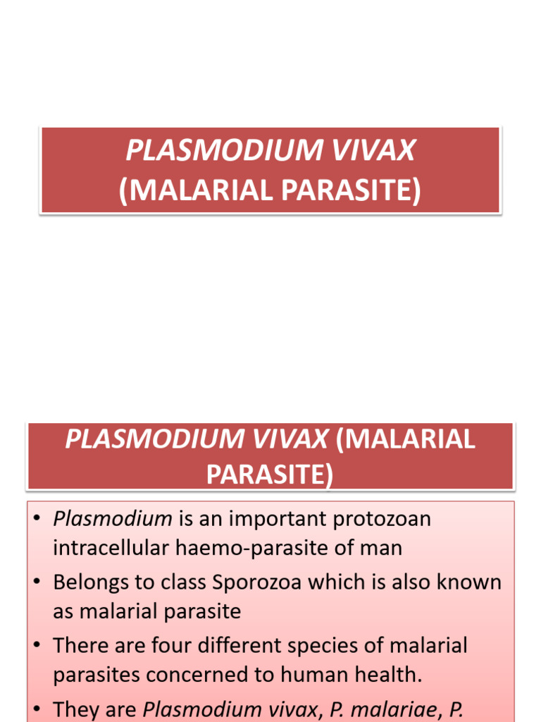 Plasmodium Vivax Malarial Parasite | PDF | Plasmodium | Biology