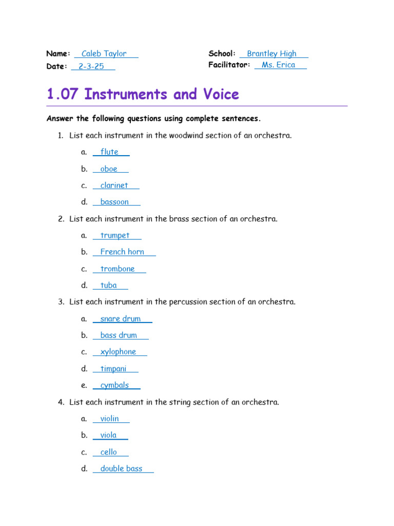 01-07_task (2) | PDF | Musical Instruments | Woodwind Instruments