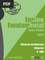 Checklist ENEM 2025 Pedro Assaad COMPLETO | PDF
