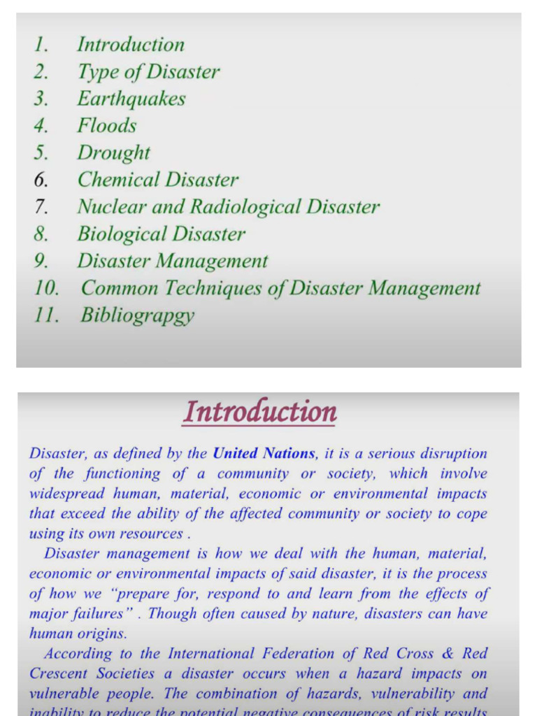 Disaster Management Project | PDF