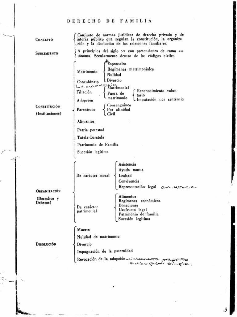 Mapas Conceptuales - Familiar PDF | PDF