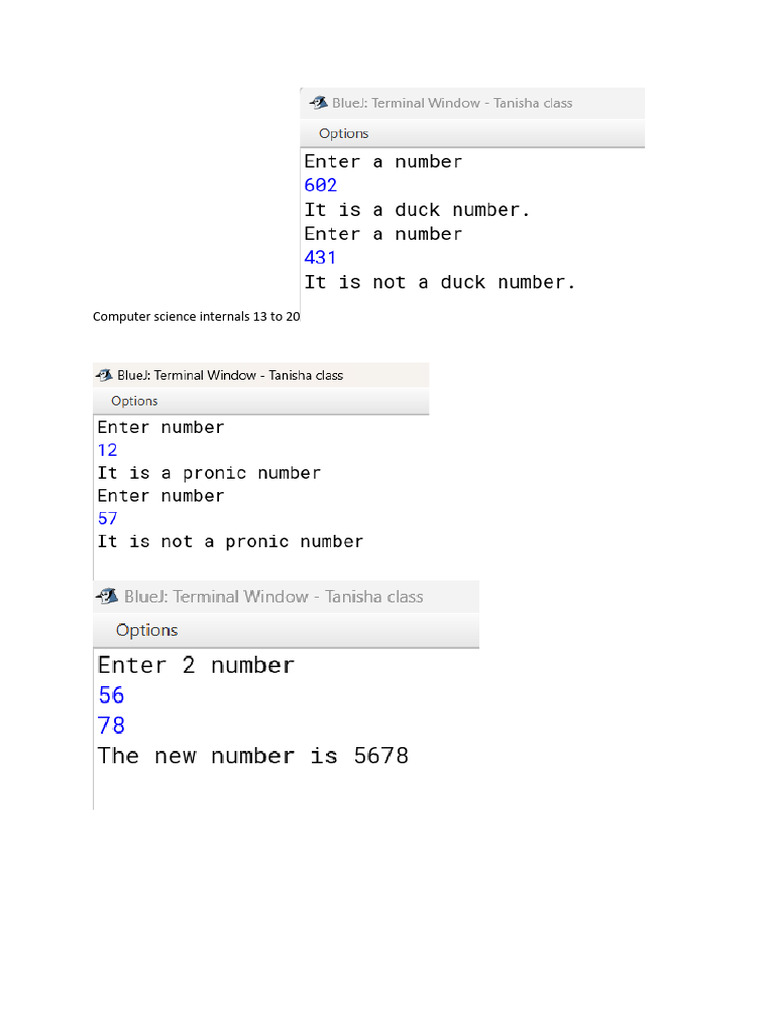 Computer Science Internals 13 to 20 | PDF