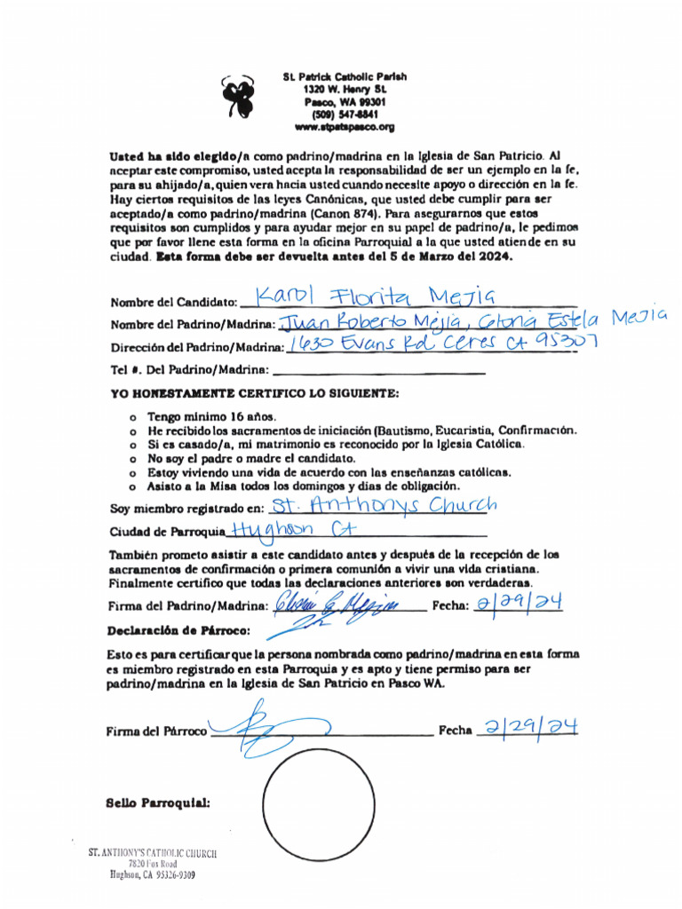 St. Patrick Karol Mejia | PDF