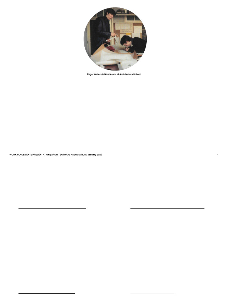 PP WORK PLACEMENT Presentation - COMBINED | PDF | Travel Visa