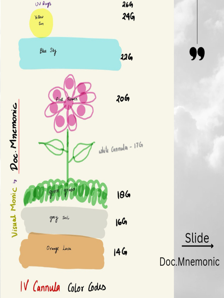 IV Cannula Colour Code | PDF