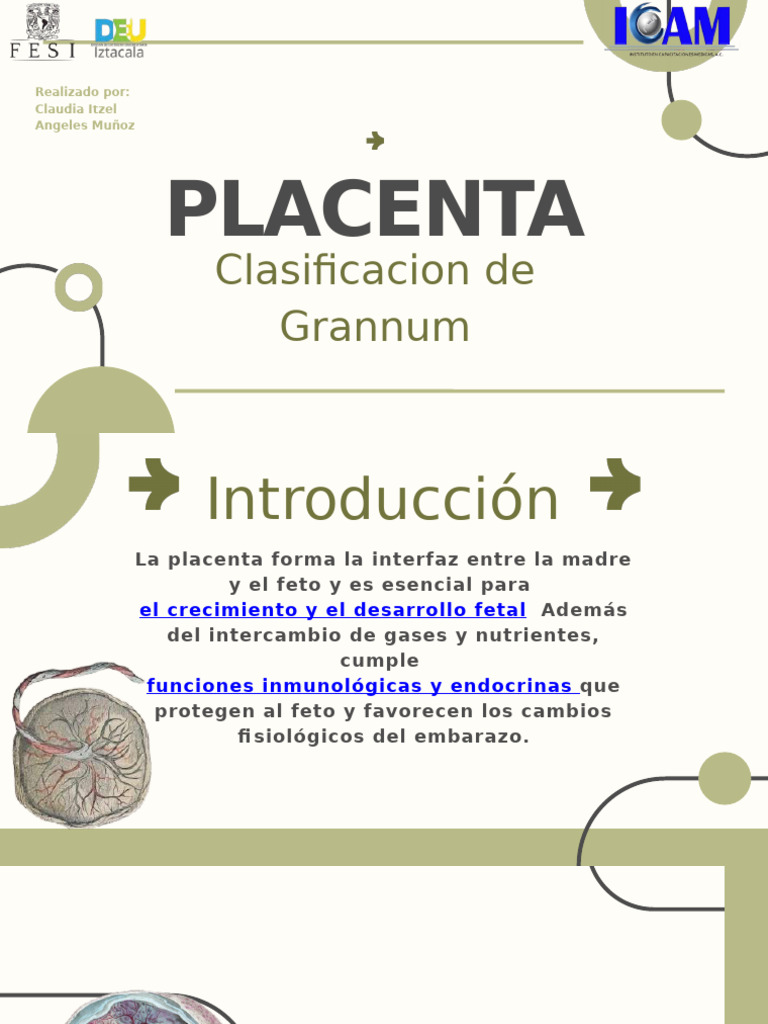Placenta | PDF | Placenta | Anatomía
