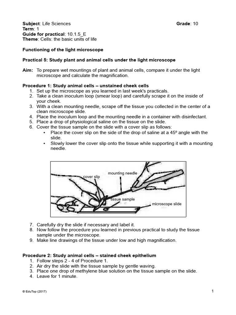 Guide For Life Science Practical | PDF | Epithelium | Tissue (Biology)