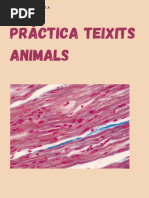 CAFE ANATOMIA Tema 03 Teixit Connectiu (I) | PDF