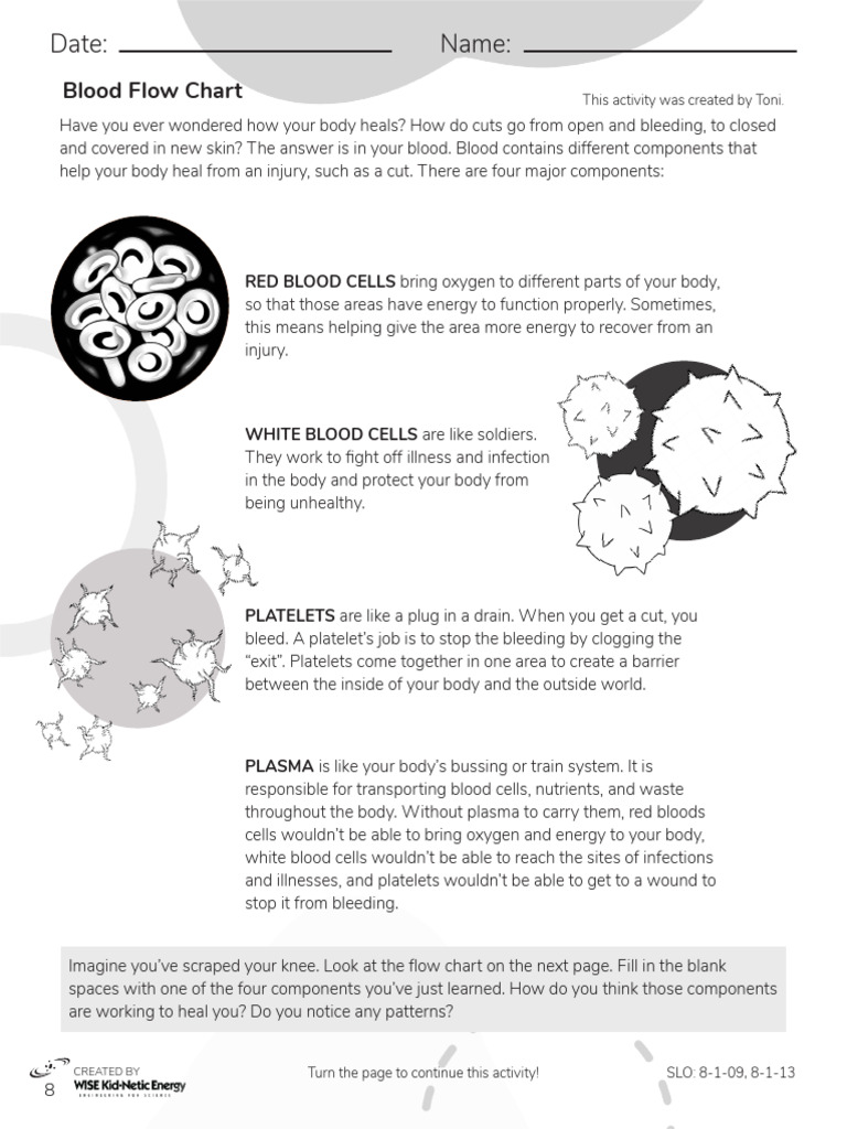 09, 13 - Blood Flow Chart | PDF