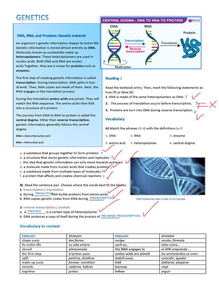 GENETICS | PDF | Nucleic Acid Sequence | Dna