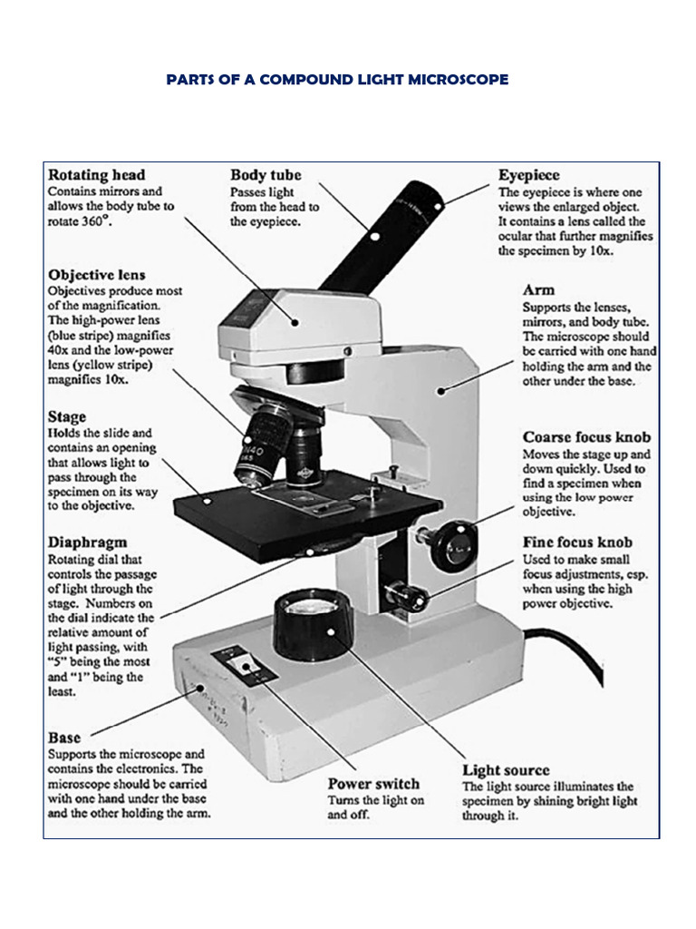 Repaso Partes Microscopio | PDF