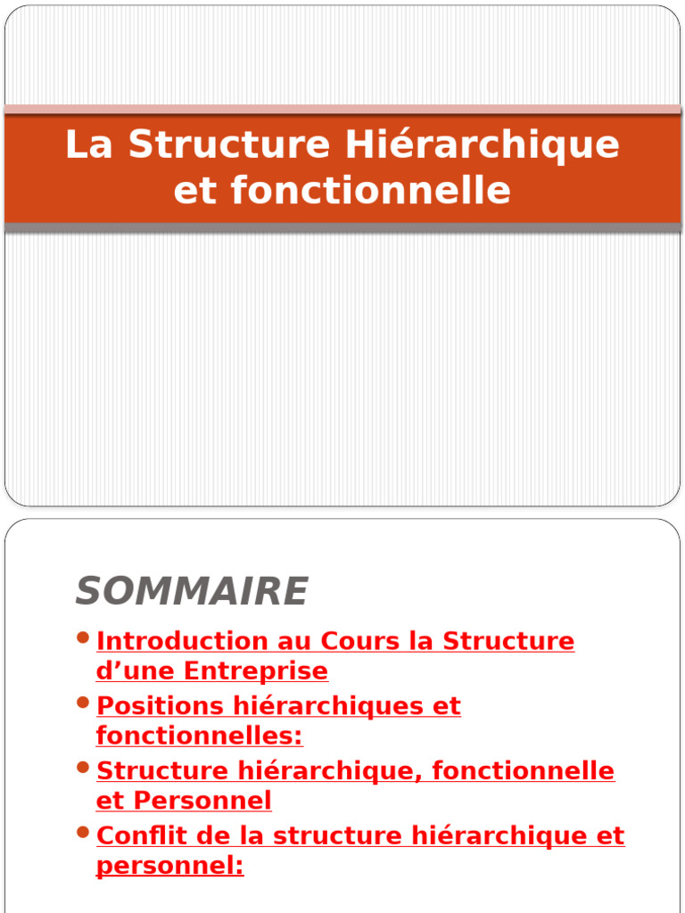 Structure Hiérarchique et Fonctionnelle | PDF | Business | Comptabilité