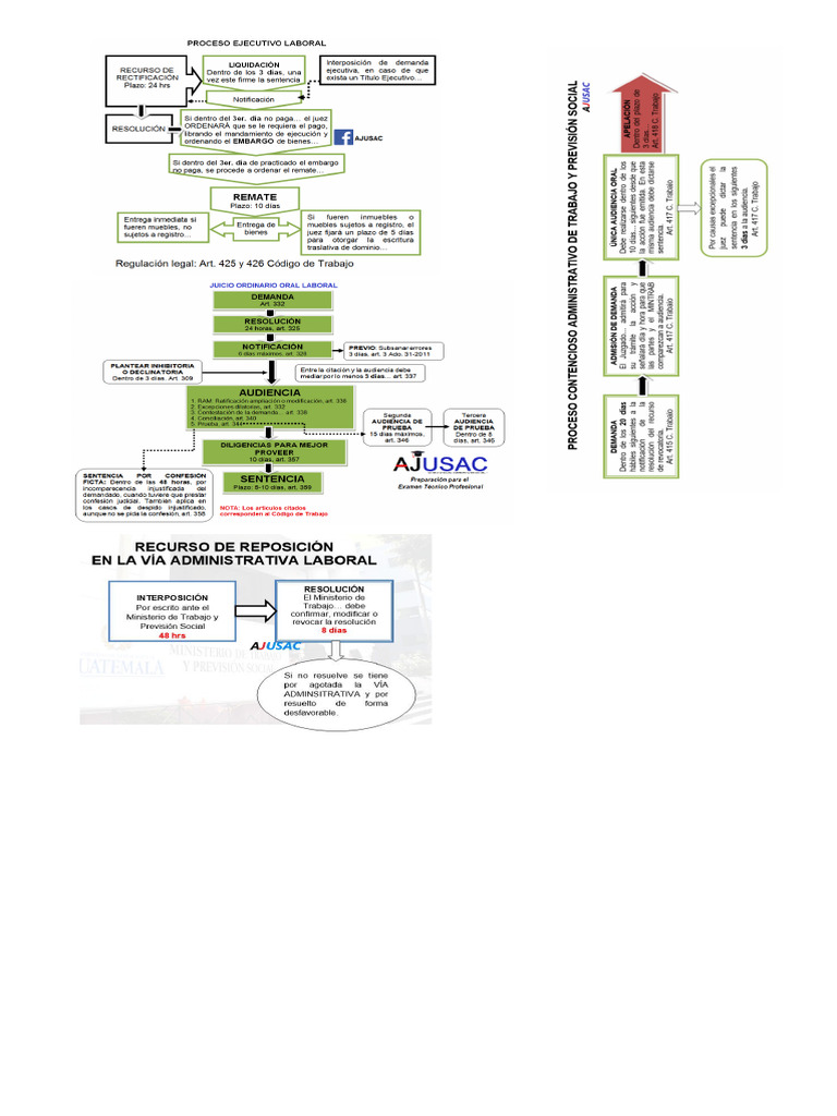 Proceso Ejecutivo Laboral | PDF