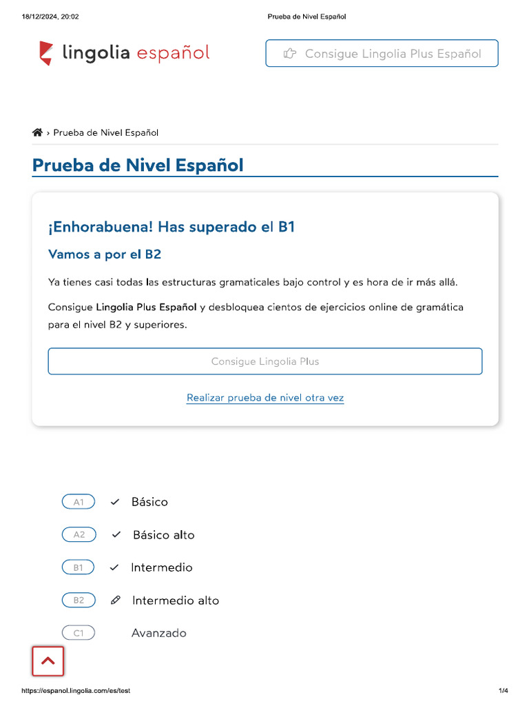 Prueba de Nivel | PDF