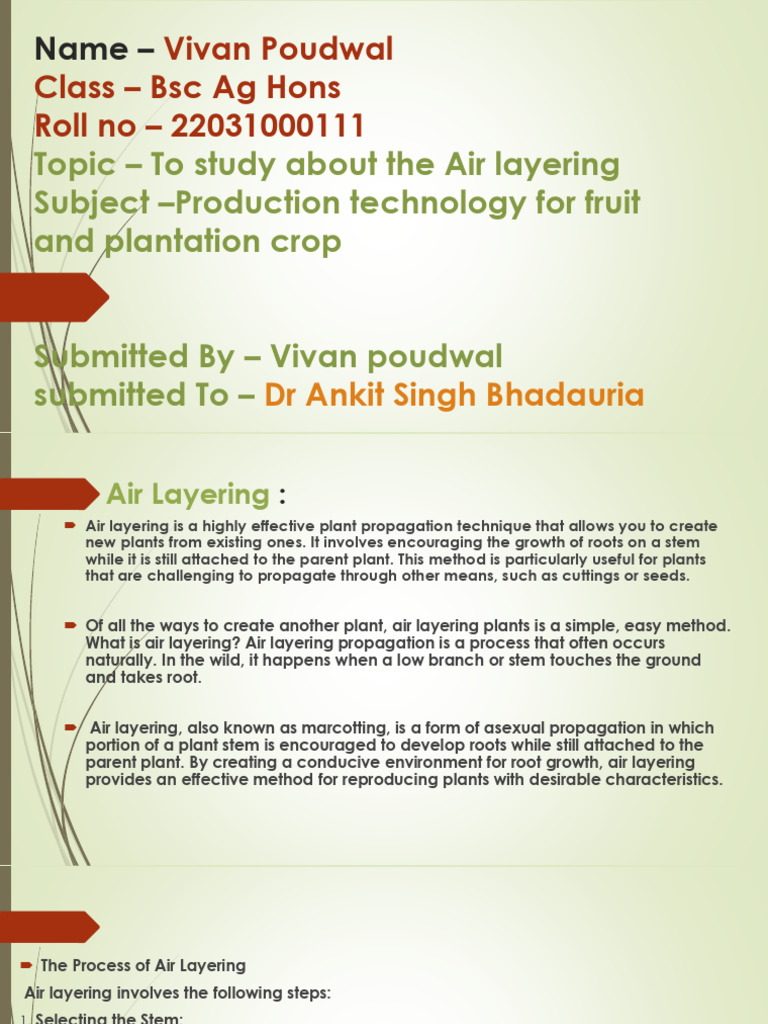 Air Layering: A Plant Propagation Guide | PDF | Plants | Botany