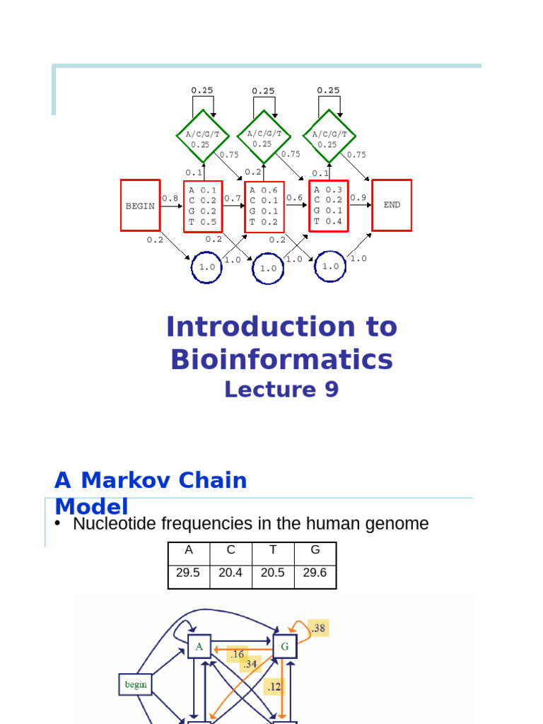 Bioinformatics HMM Updated | PDF | Markov Chain | Machine Learning