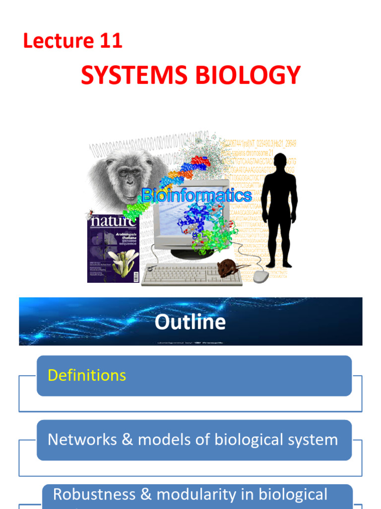 Bioinfo - S1 2021 - L11 - Systems Biology - 1 Slide | PDF | System | Biology