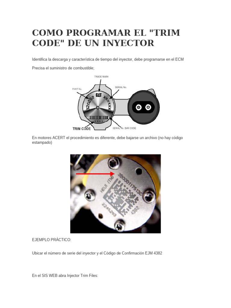 Como Programar El Trim Code de Un Inyector (CTP) | PDF