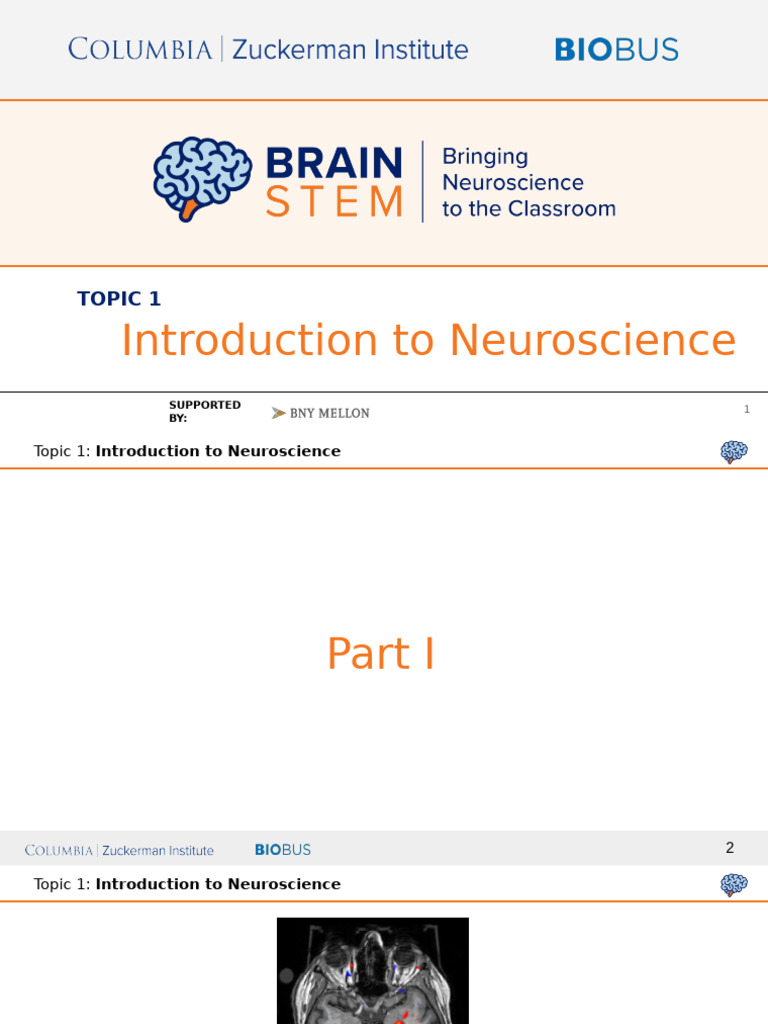 Overview of Neuroscience Basics | PDF | Neuroscience | Brain