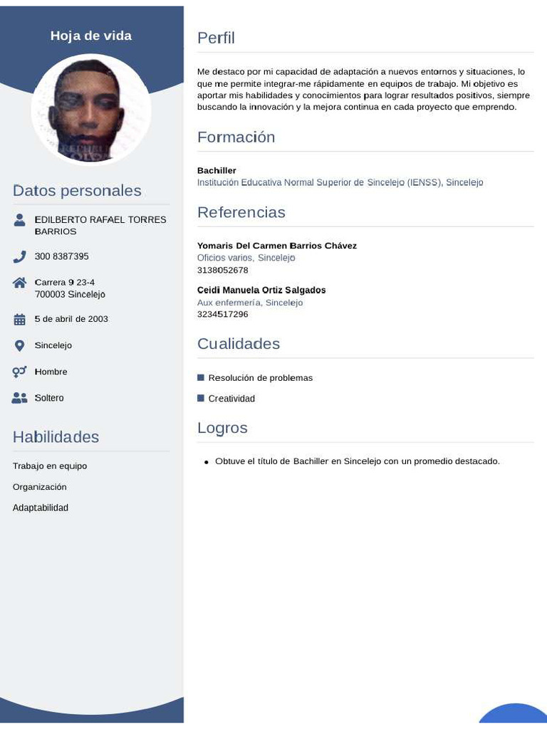 Hoja de Vida Corporativa 1 | PDF