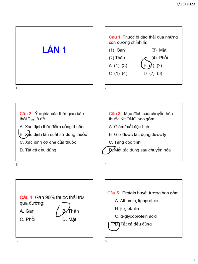 5 Lần DD1-cập Nhật | PDF