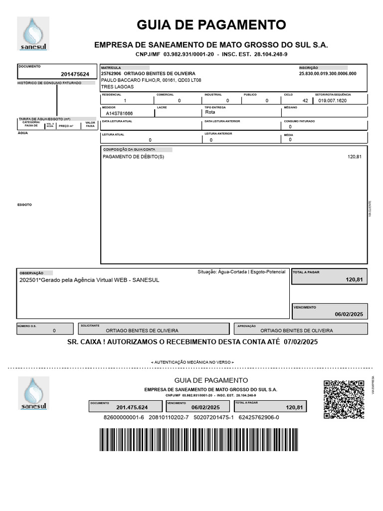 Guia de Pagamento 06022025 | PDF