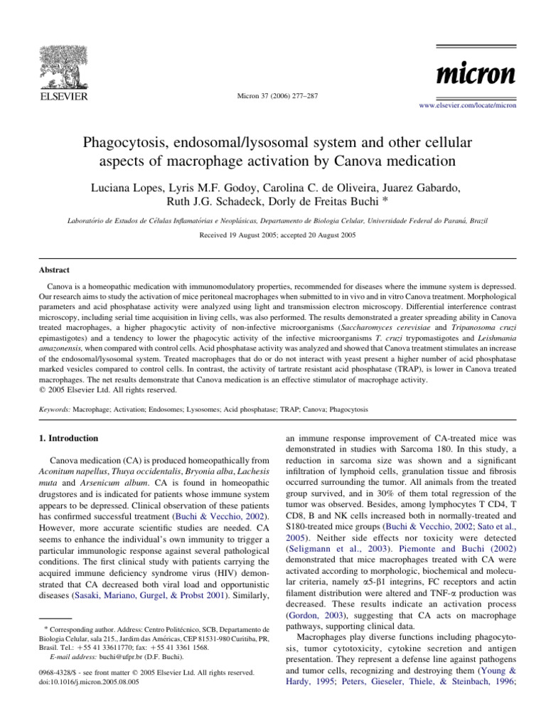 2006_Micron_Macrophages_Phagocytosis | PDF | Lysosome | Macrophage