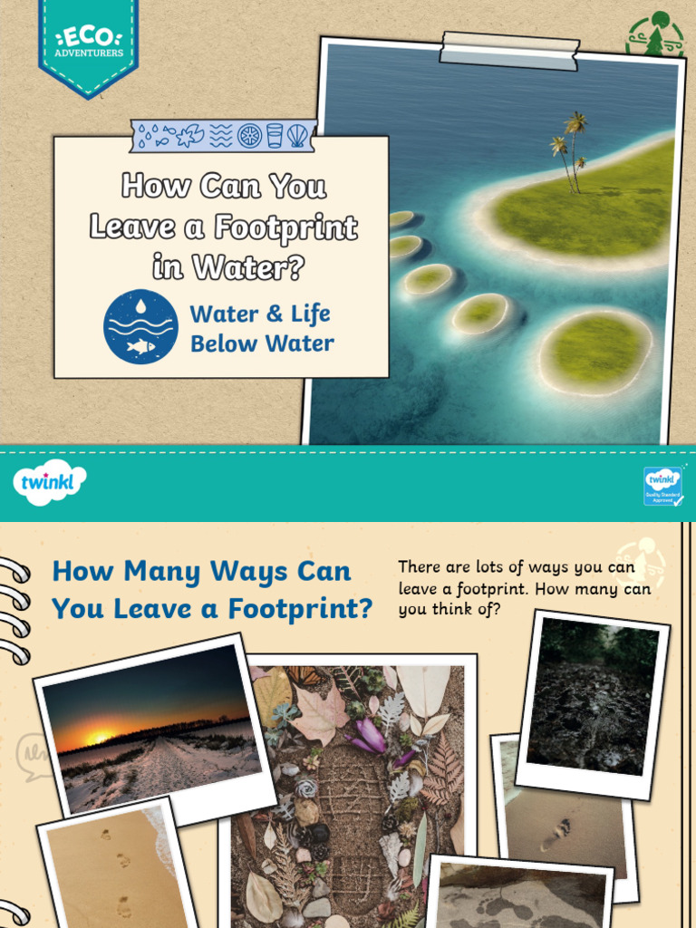 Year 6 Water & Life Below Water Lesson 5 Presentation | PDF | Water | Foods