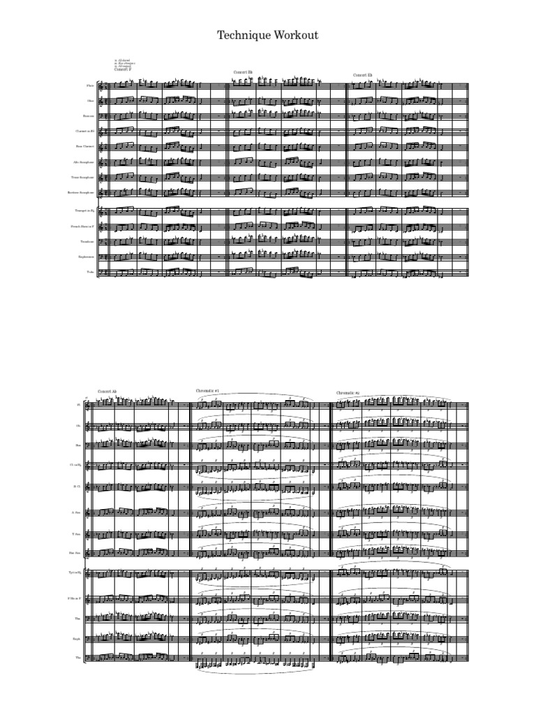 Techique Workout | PDF