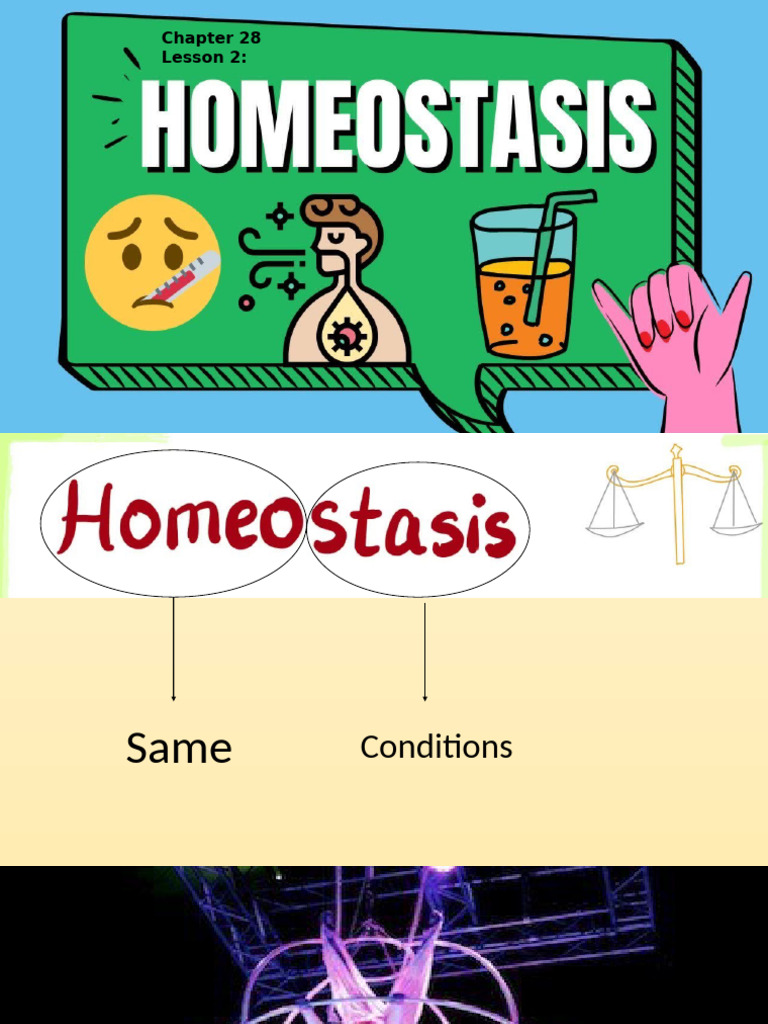 2.chapter 28 .Lesson 2 Homeostasis | PDF
