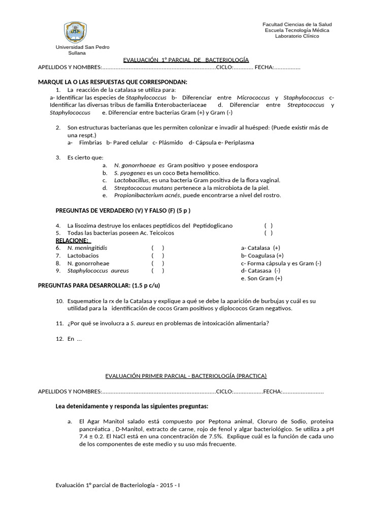 Bacterio | PDF | Bacterias Gram Positivas | Las bacterias