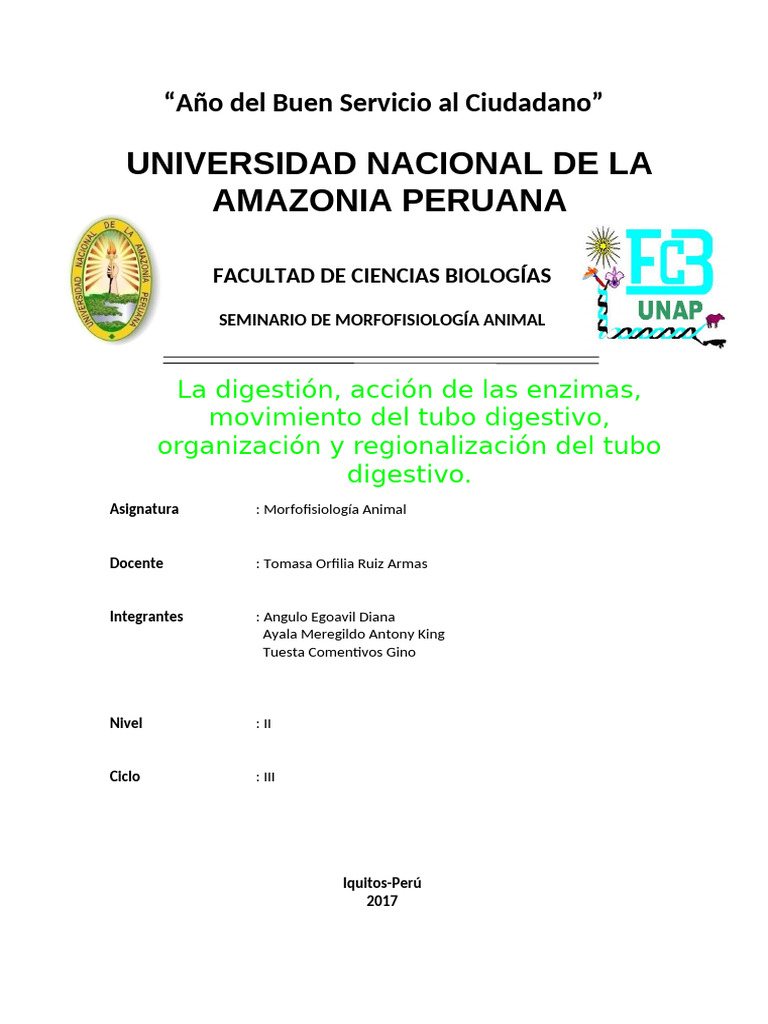 La Digestión-2 | PDF | Digestión | Bilis