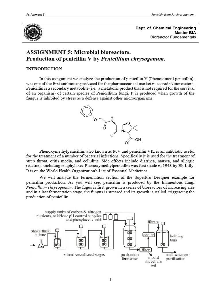 Assignment5 Lesson6 BiorreactorFundamentals 2024-25 Ok | PDF | Biology