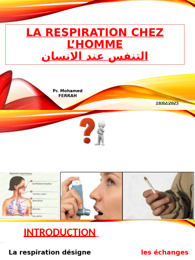 Respiration humaine : mécanismes et échanges | PDF | Respiration ...