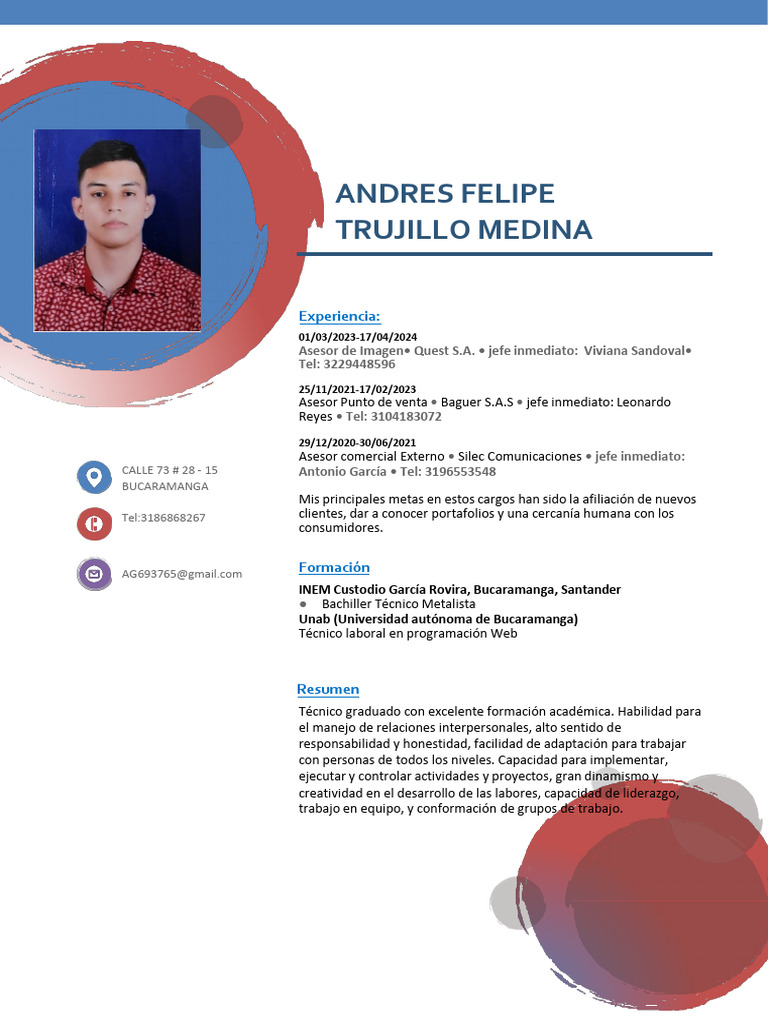 Curriculum Asesor 2025 | PDF