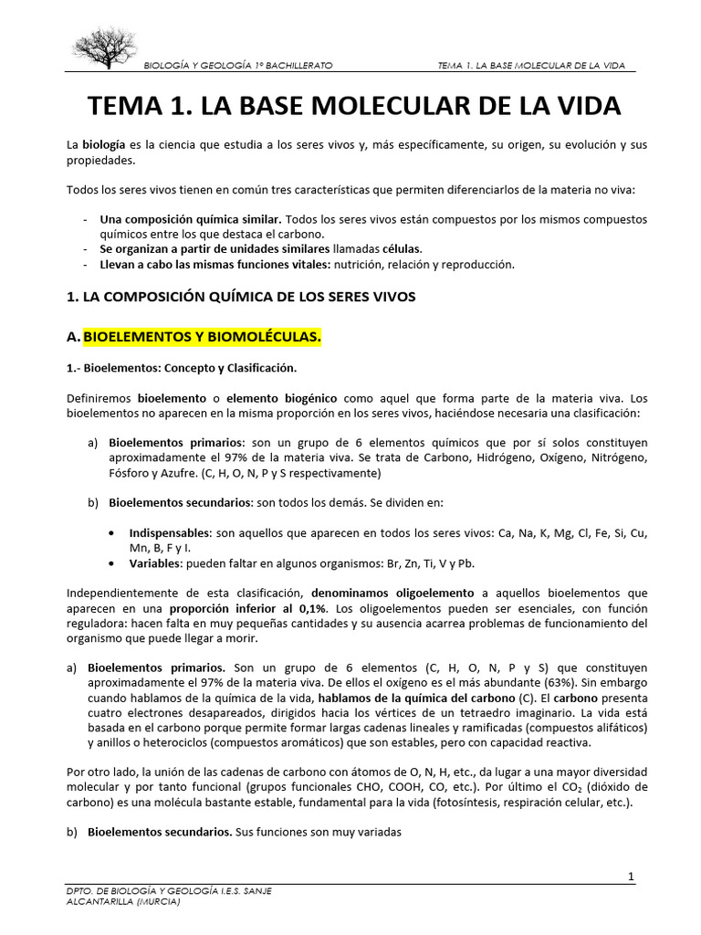 U.D. 1. La base molecular de la vida (1) | PDF | Polisacárido | Carbohidratos