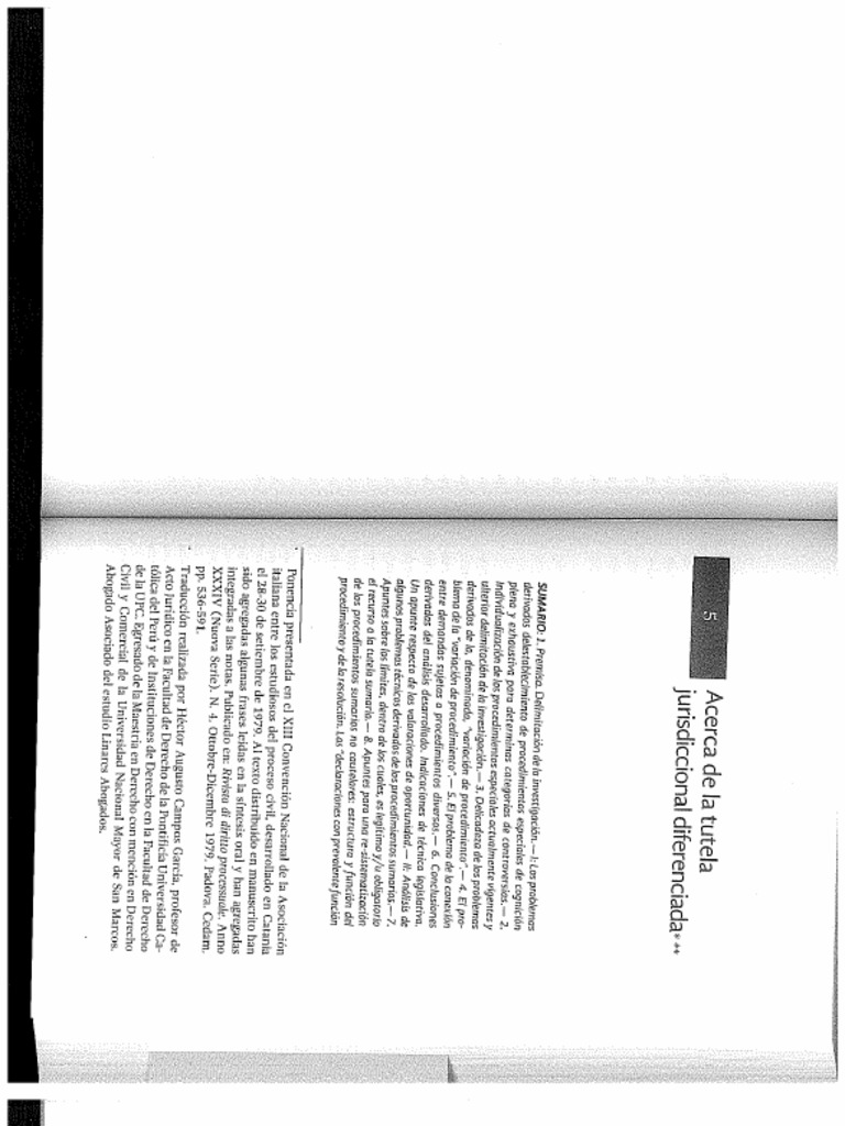 Material Extra 2 PROTO-PISANI-Andrea.-Acerca-de-la-tutela-jurisdiccional-diferenciada. | PDF