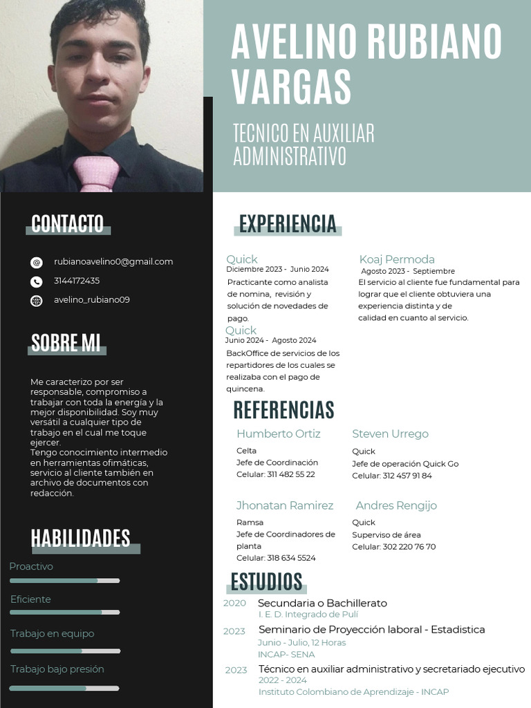 Hoja de Vida - Avelino Rubiano | PDF