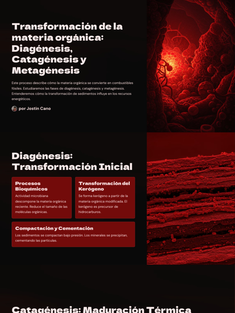 Transformacion de La Materia Organica Diagenesis Catagenesis y ...