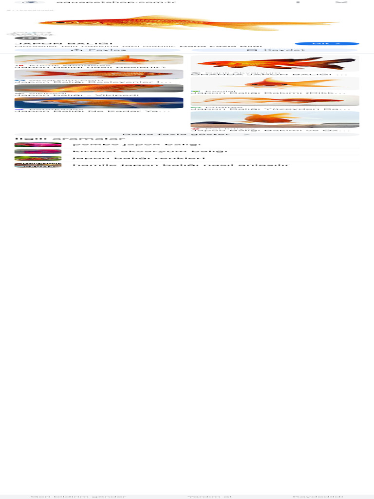Japon Baligi - Google'Da Ara | PDF