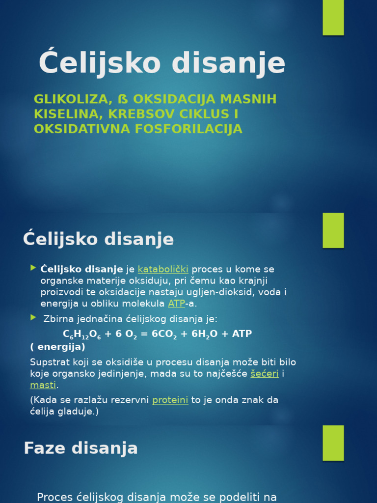 ĆELIJSKO DISANJE - Glikoliza, SS Oksidacija Masnih Kiselina, Krebsov ...