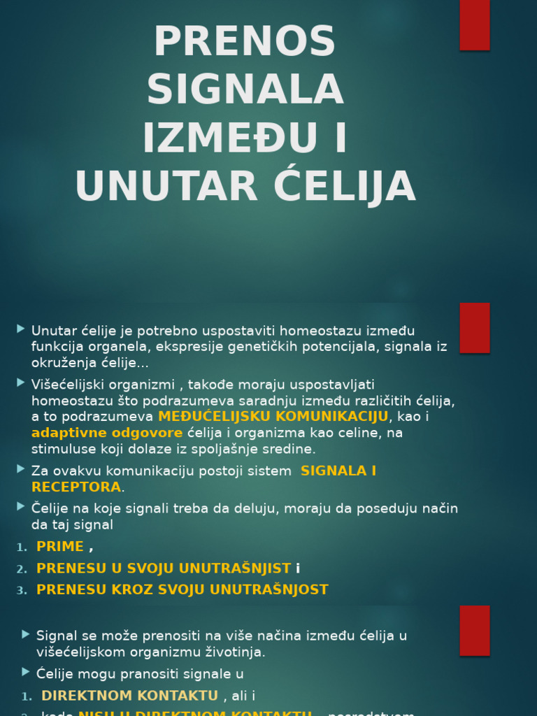 Prenos Signala Između I Unutar Ćelija | PDF