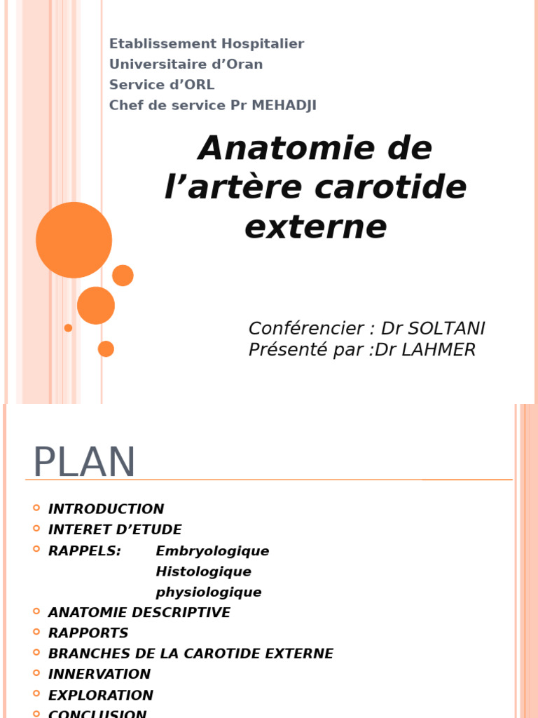 Anatomie Carotide Externe Oran 2016 | PDF | Artère carotide commune | Cou