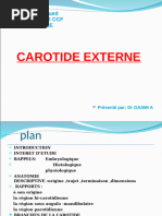 Anatomie Carotide Externe Oran 2016 | PDF | Artère carotide commune | Cou