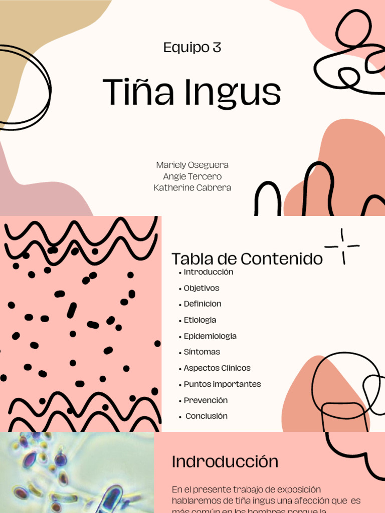 Tiña Inguinal: Causas y Prevención | PDF | Enfermedades y trastornos ...