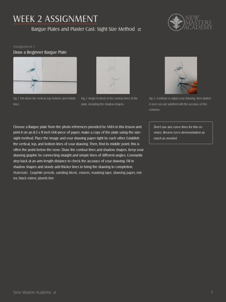 Bargue Plates and Plaster Cast Assignment Week 02 DK | PDF