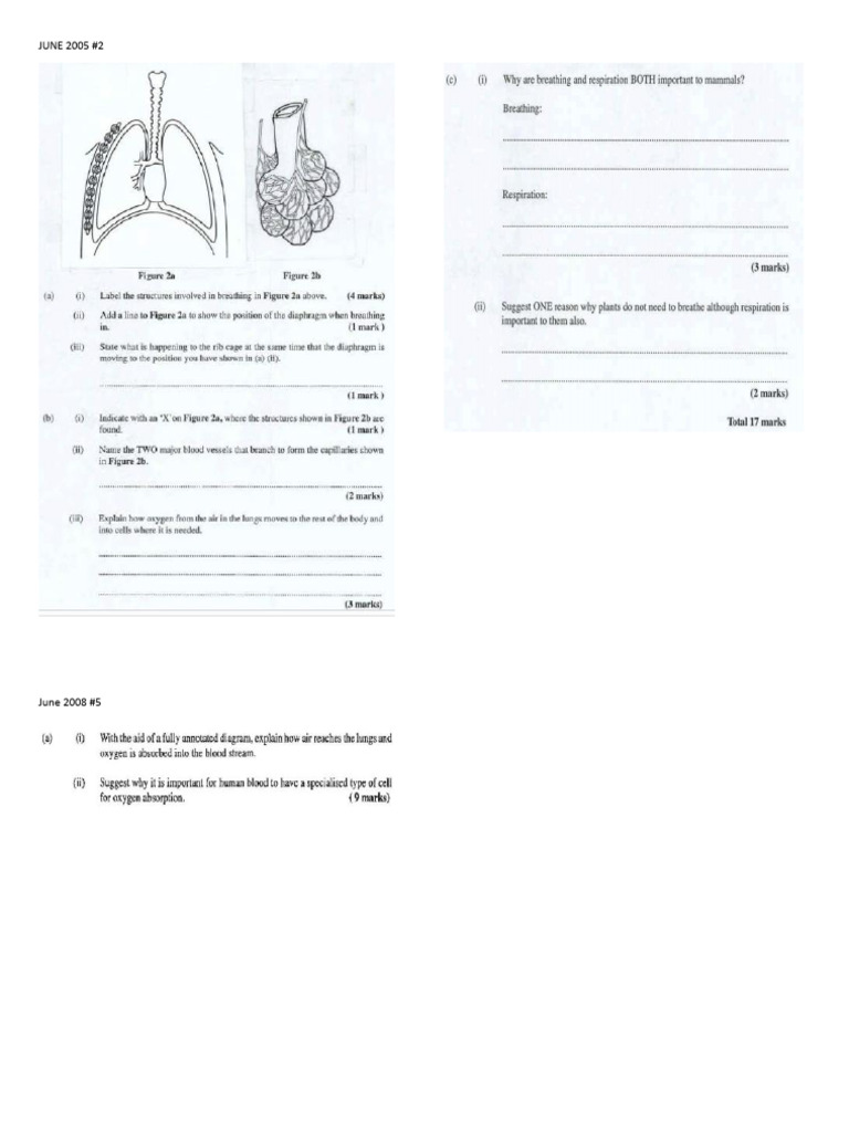 Respiration Past Papers | PDF