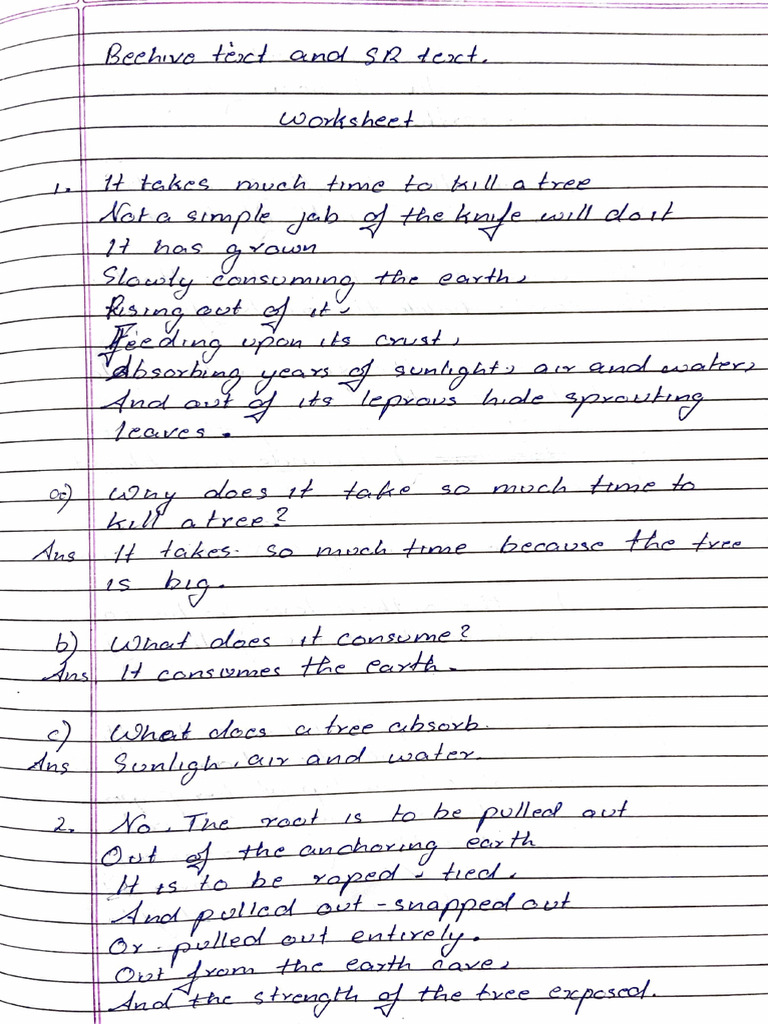 Beehive and SR Text Worksheet | PDF