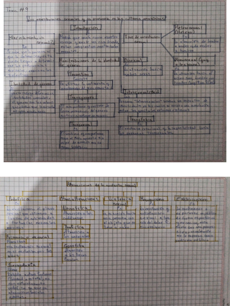 Mapa Conceptual 9 de Angélica Allegri Mamani | PDF
