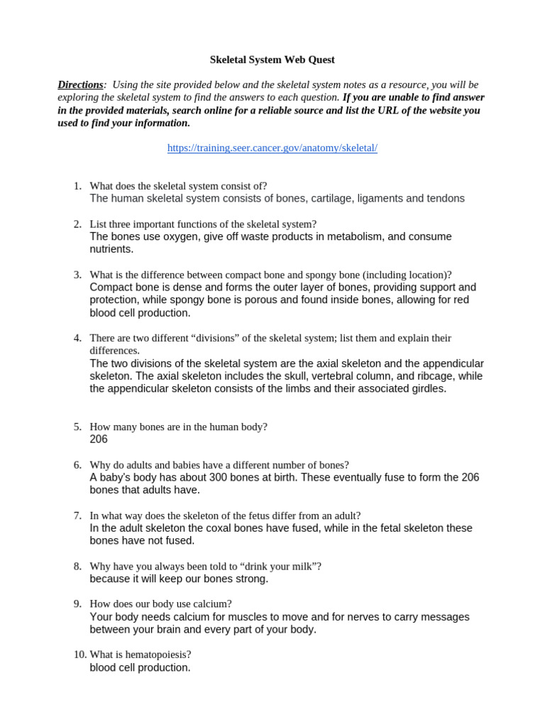 Skeletal System Study Guide | PDF | Bone | Skeleton